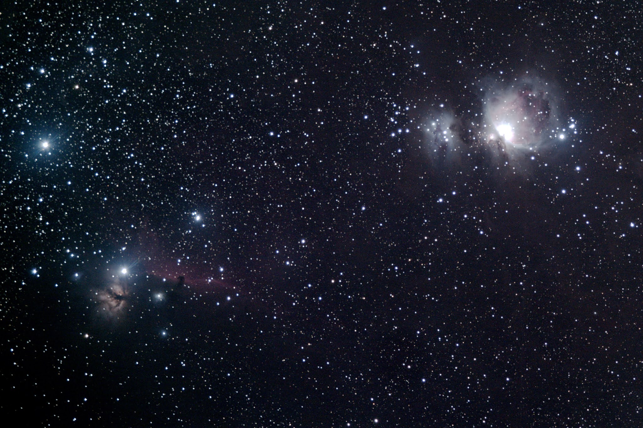 rdv live from Tokyo: Orion: M42, M43, Horsehead and Flame Nebulae