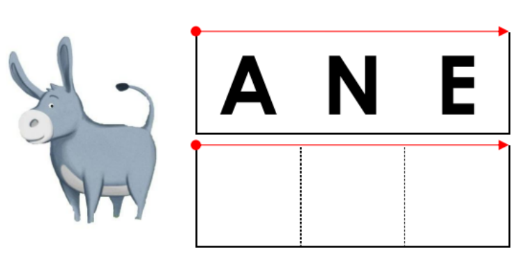 La classe de Kelly : Activité 1 : Replacer les lettres du mot "âne"