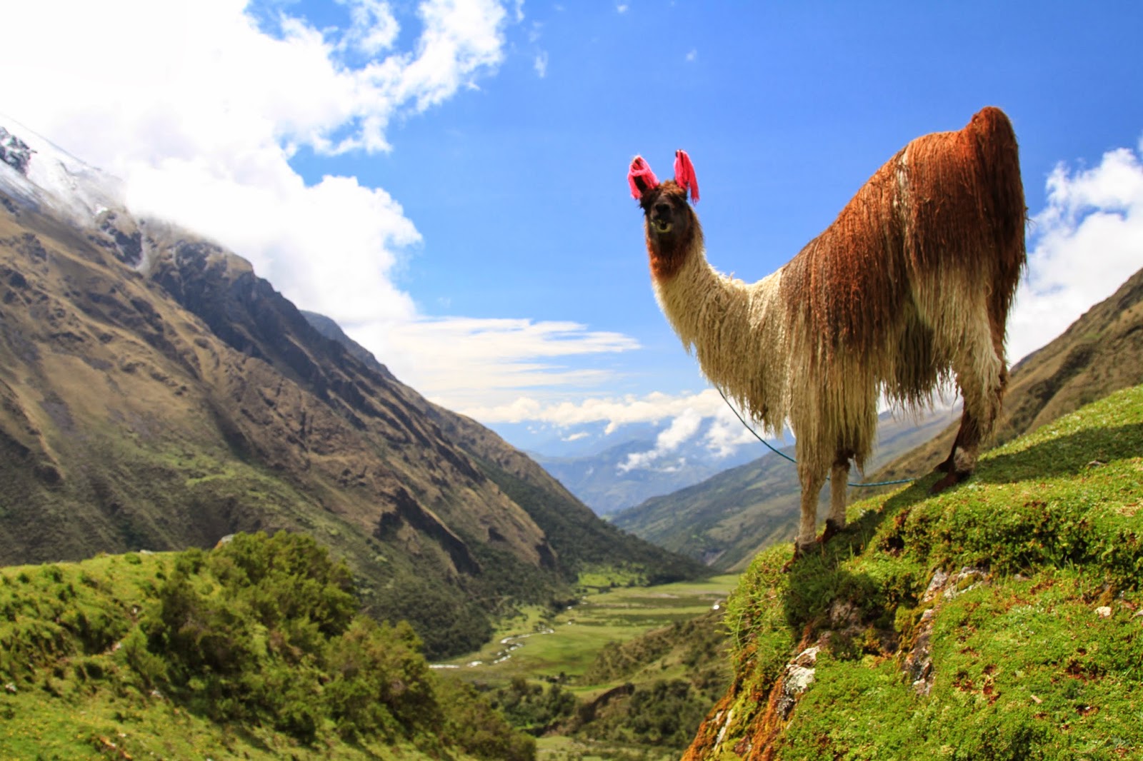 TravelMarx: Machu Picchu 10-Day Lodge Trek, Salcantay Route
