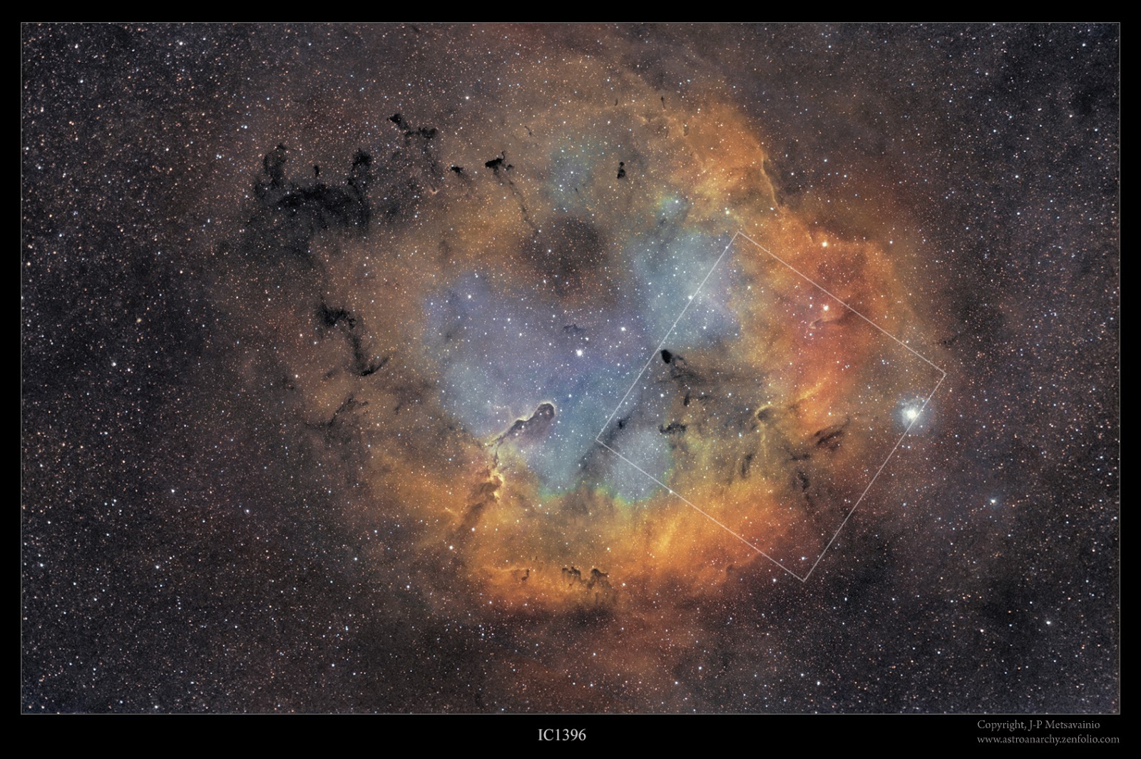 Astro Anarchy: IC1396, a detail image