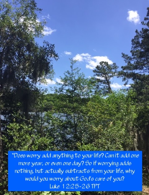 My Strength: Luke 12:25-26 - "Sparrows"