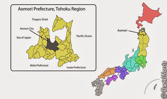 Lost in the Skyy: Winter in Aomori - Record Snowfall, Mt. Hakkoda ...