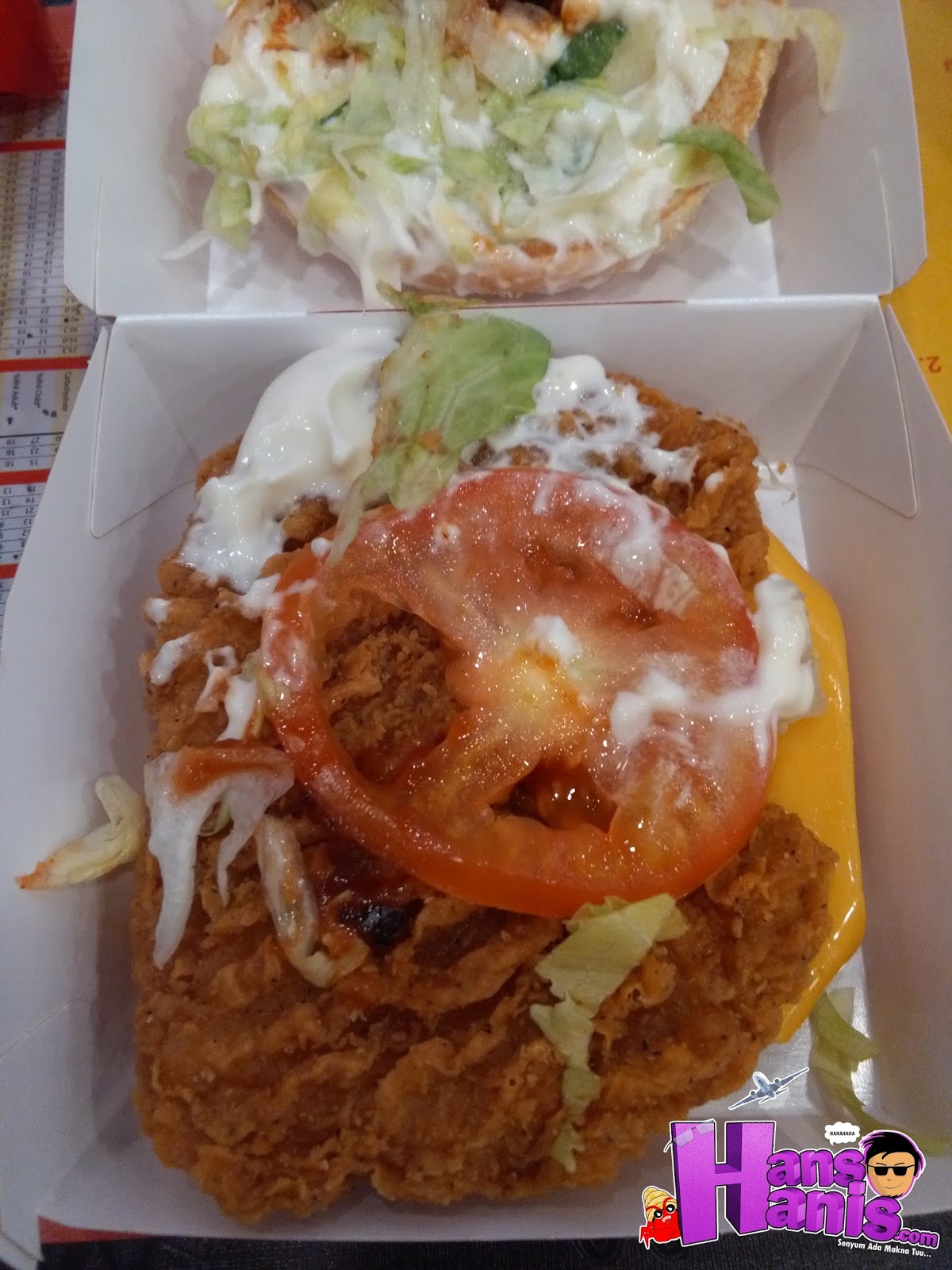 McDonald's Hot N' Crispy Chicken