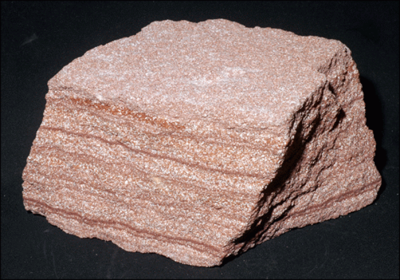 EMEF Presidente Vargas: B31 e B32 - CIÊNCIAS - PROF MARINA - 05