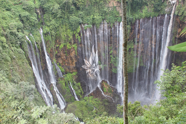TUMPAK SEWU WATERFALL, A WONDERFUL THOUSAND OF WATERFALL IN INDONESIA ...