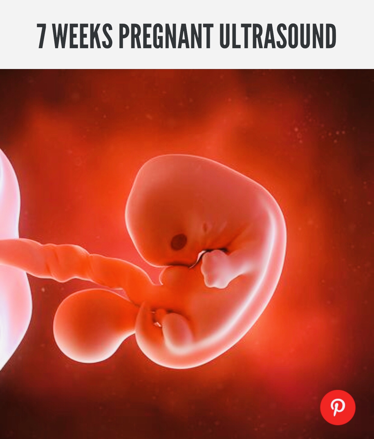 PREGNANCY WEEK 7 ~ HEALTH and FITNESS