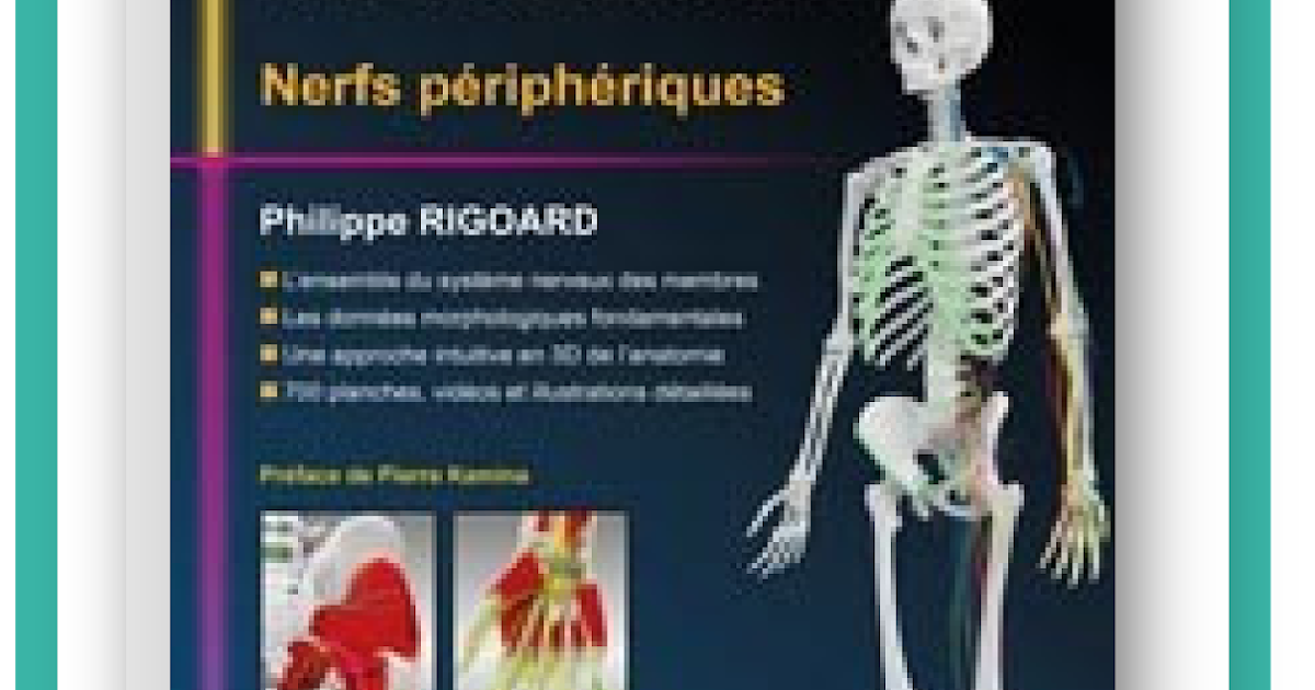Atlas d'anatomie des membres Nerfs périphériques