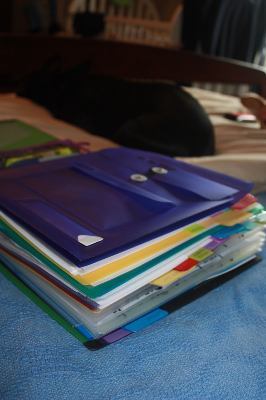 Simple Life of a Marine Wife: My sanity binder