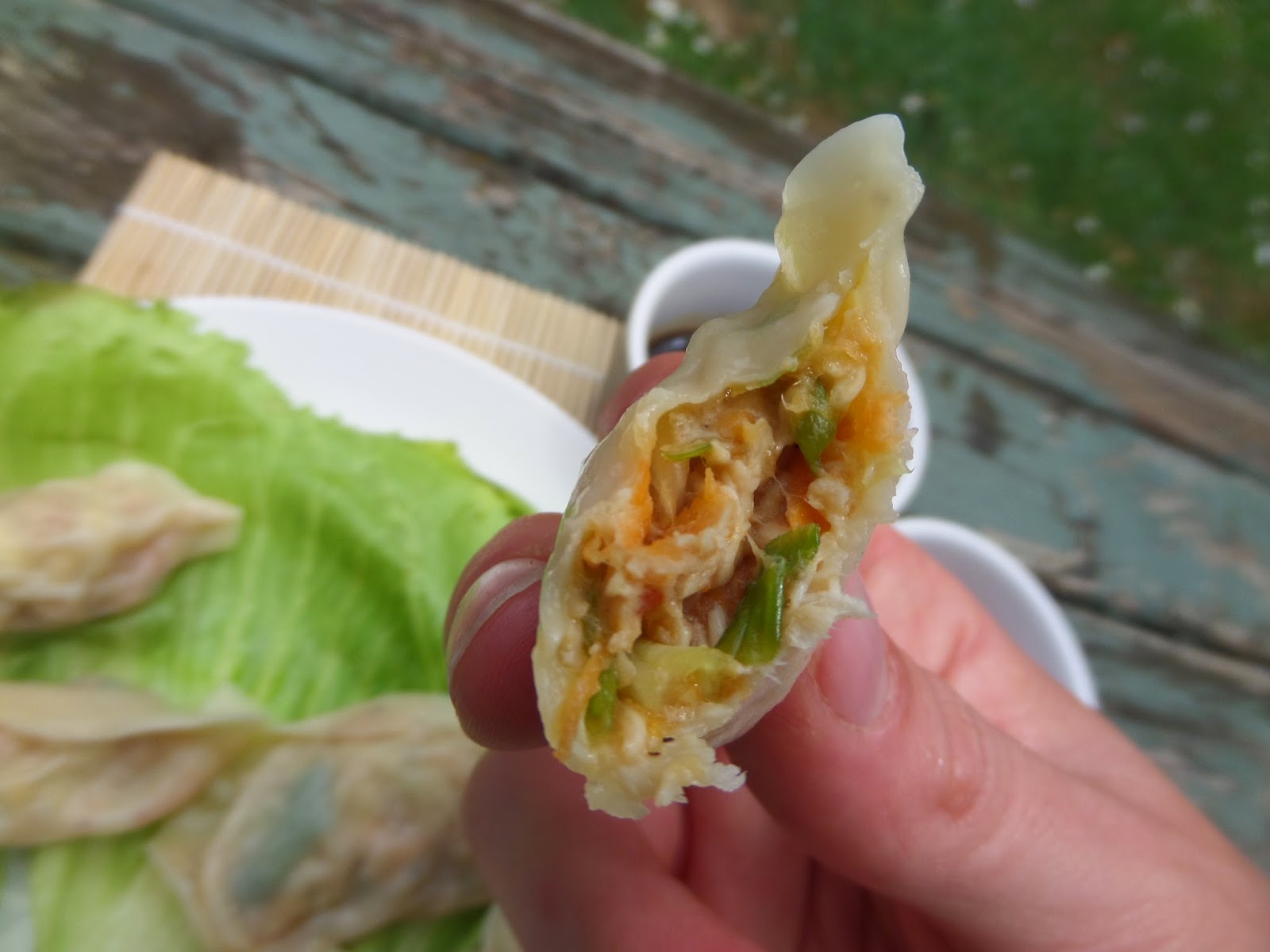 Chinese dumplings / petits raviolis chinois | My Nomad Cuisine