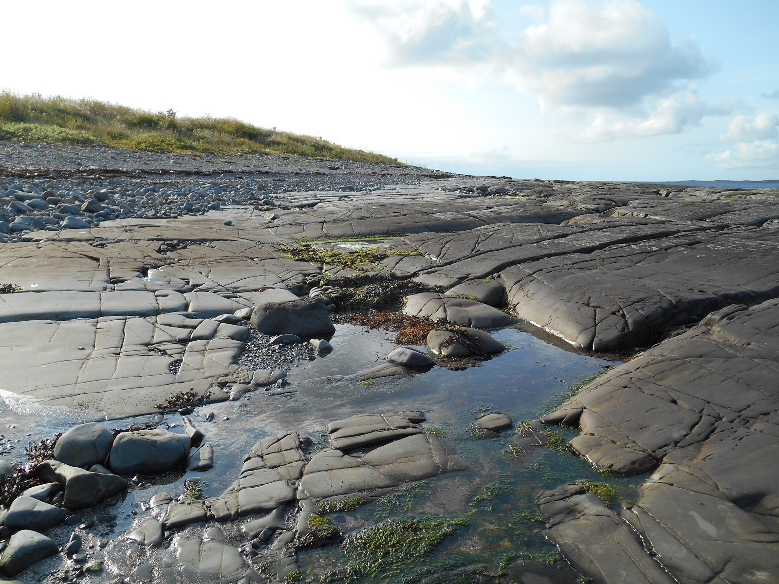 A lifetime of Islands: Island 284 - Green Island/Hugh Park, Portavogie ...