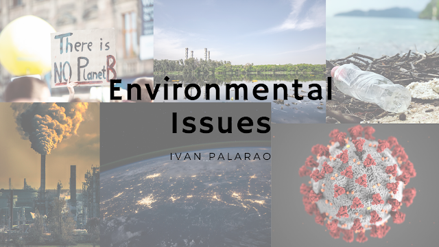 Environmental Issues and Its Counter Measures