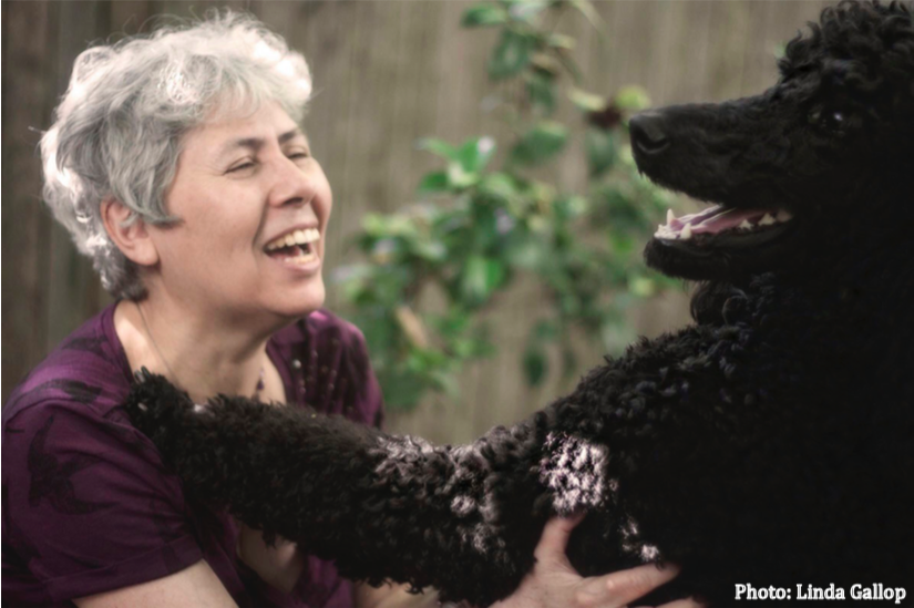 Today's Little Ditty: Classroom Connections with Marilyn Singer