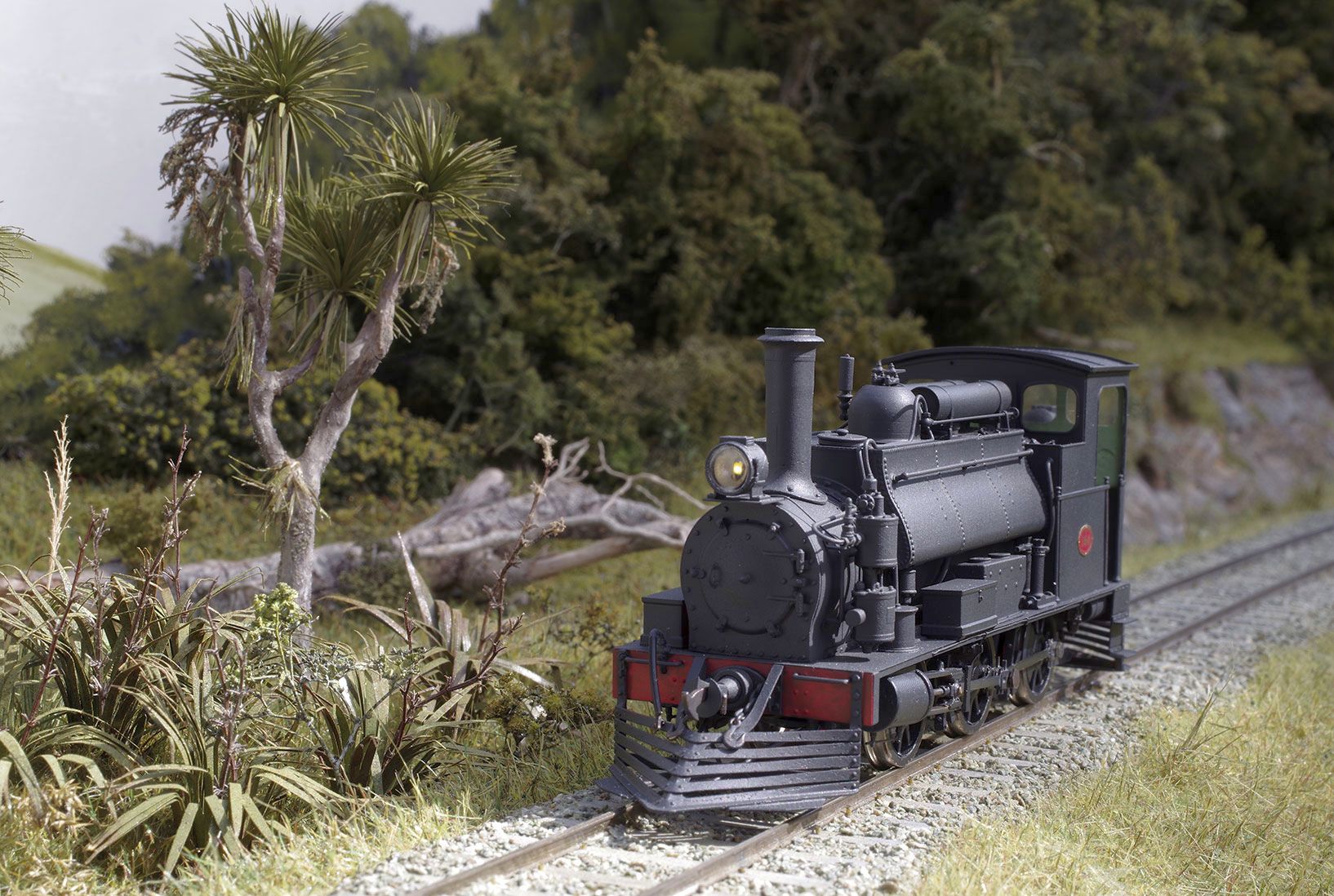 transpress nz: NZR F class model