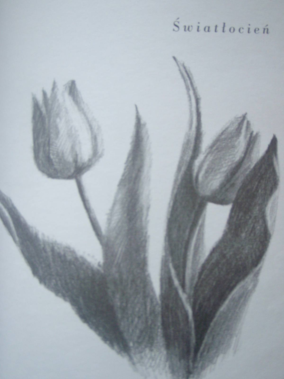 JAK RYSOWAC: ŚWIATŁOCIEŃ JAK RYSOWAĆ