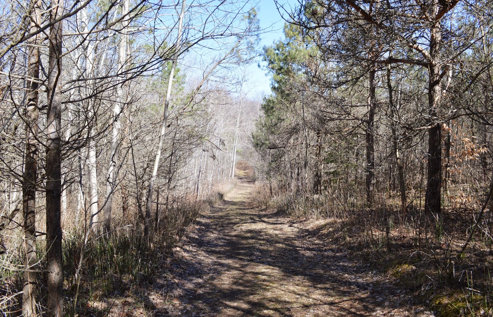Mothering with Mindfulness : Morning Nature Walk