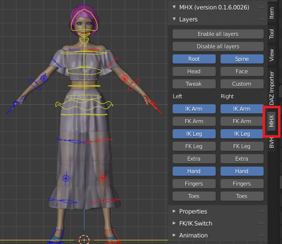 Diffeomorphic: Rigging Section