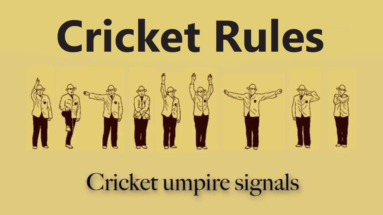 The Cricket Station the-cricket-station