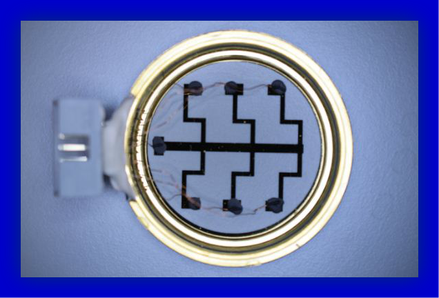 How to Detect Bacteria With Use of Electrical Signalling Instrument