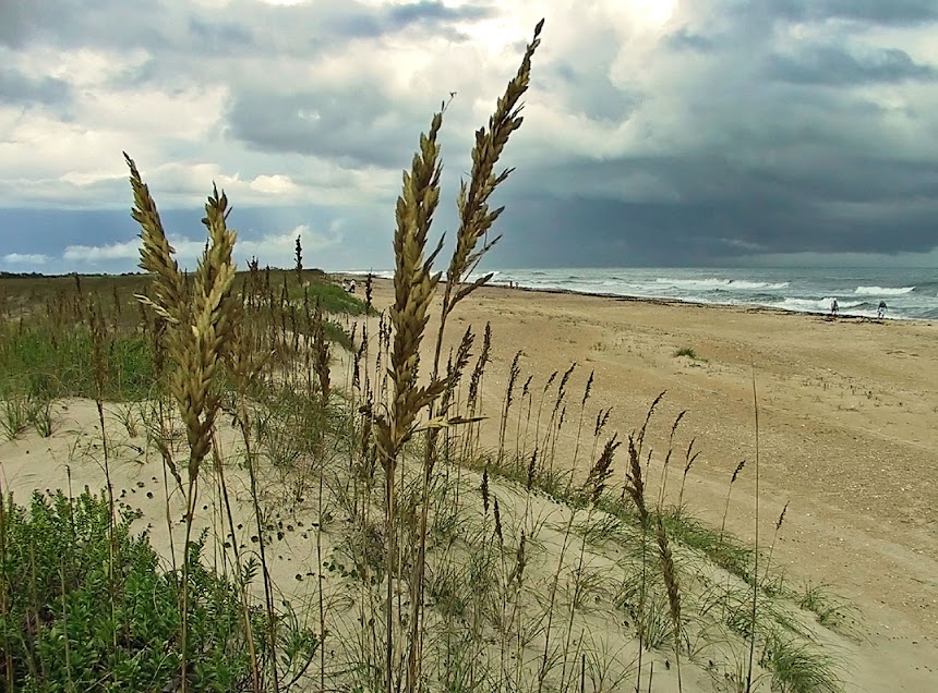 Living the life in Saint-Aignan: Sand and shells on Core Banks NC