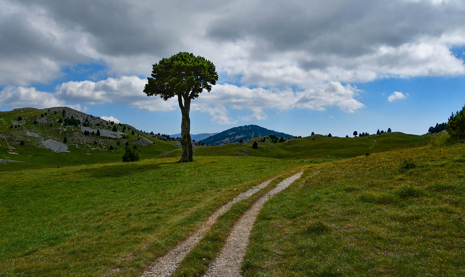 DROMESCAPE - Randonnées en Drôme et Escapades photographiques
