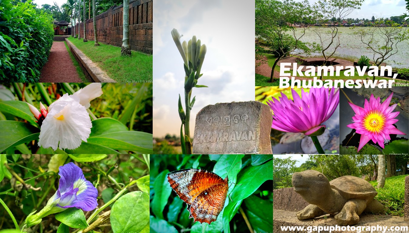 Ekamravan, Bhubaneswar