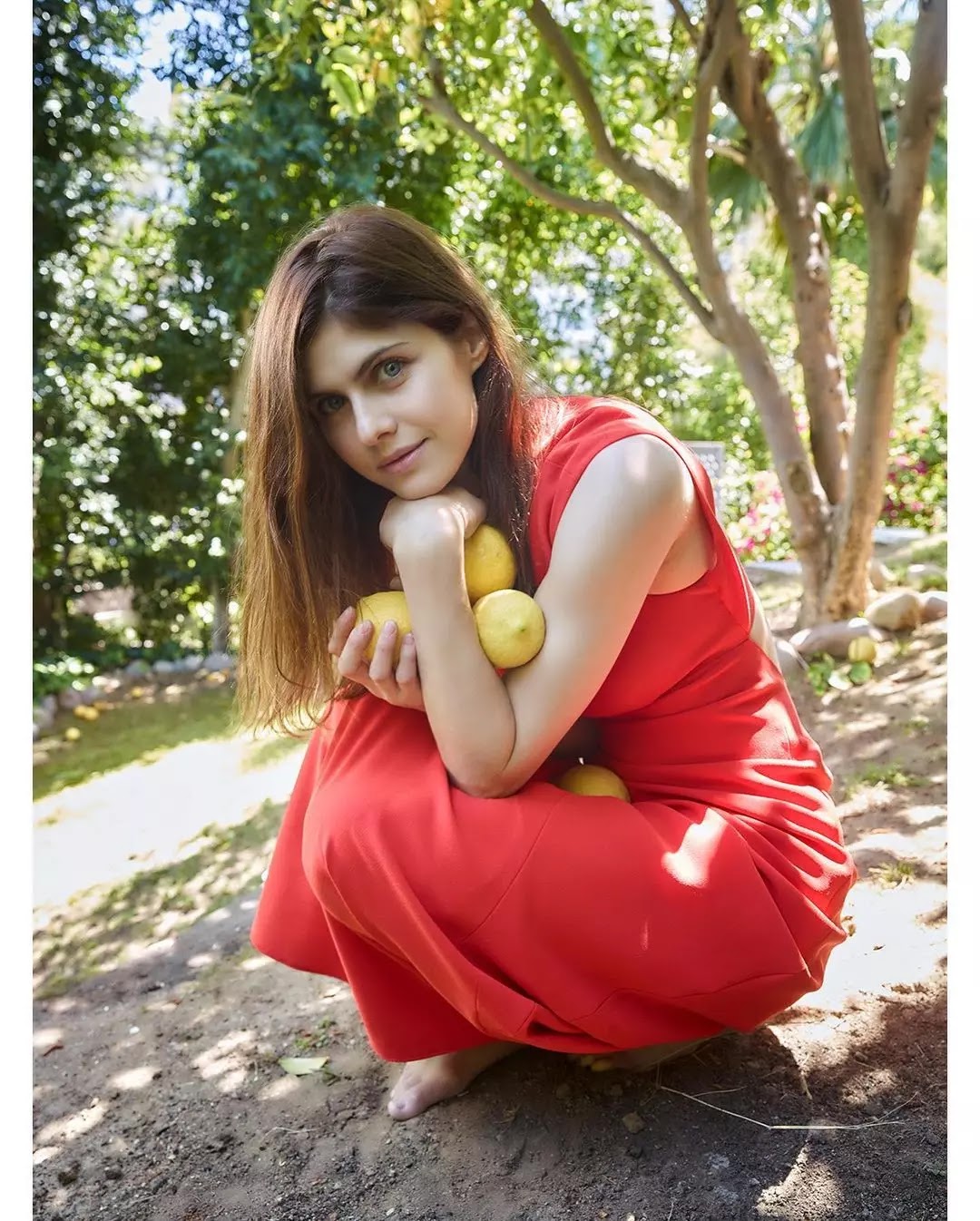 alexandra daddario calvin bikini photos hd