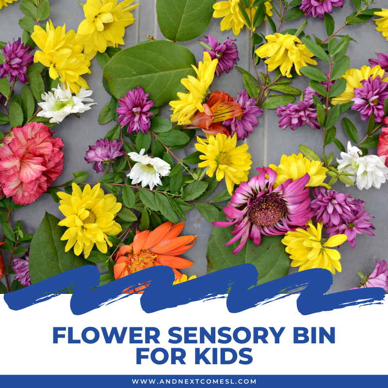 Flower Sensory Bin & Fine Motor Activity for Kids | And Next Comes L ...