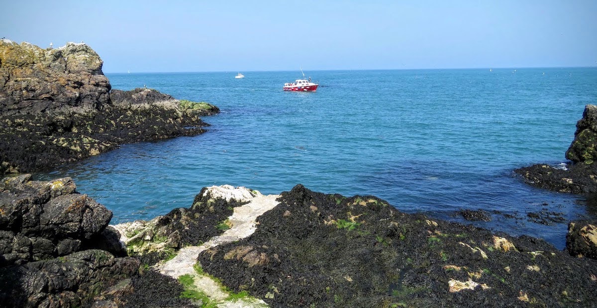 Day trip to Ireland's Eye Island - Island Ferry approaching the island