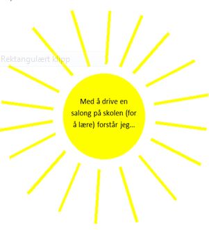 Lønnet elevbedrift.: Gjennomføring