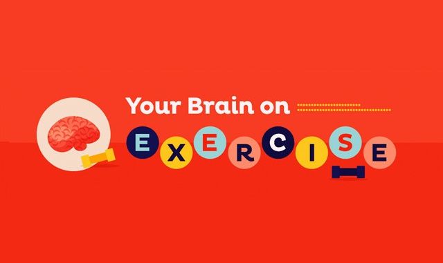 Your Brain on Exercise #infographic - Visualistan