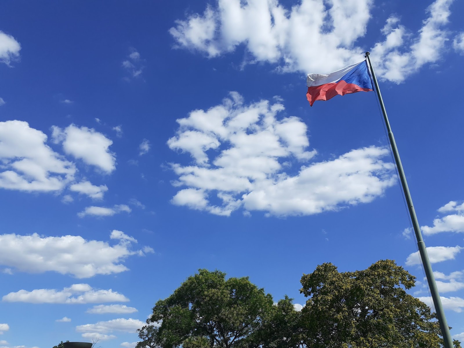 Sister Brylee Lewis: "Chicken Nuggets, Grand McSundae and Alcohol"