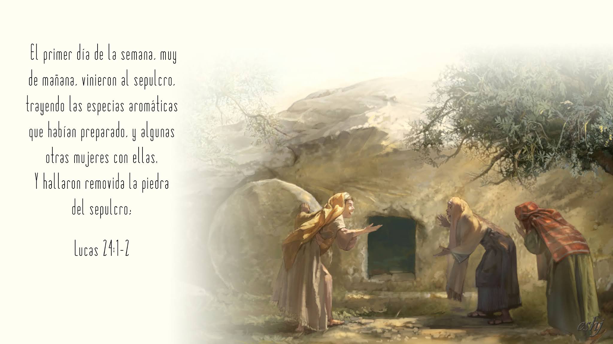 CBA LIBRO DE LUCAS CAPÍTULO 24