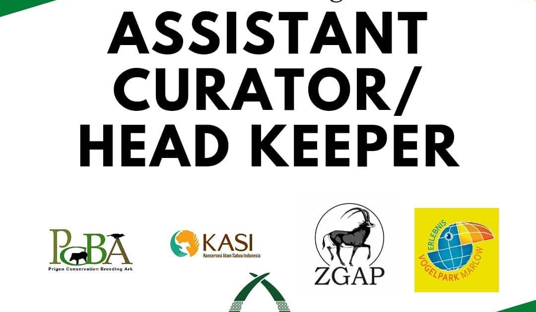 Zoo Jobs: Assistant Curator / Head Keeper