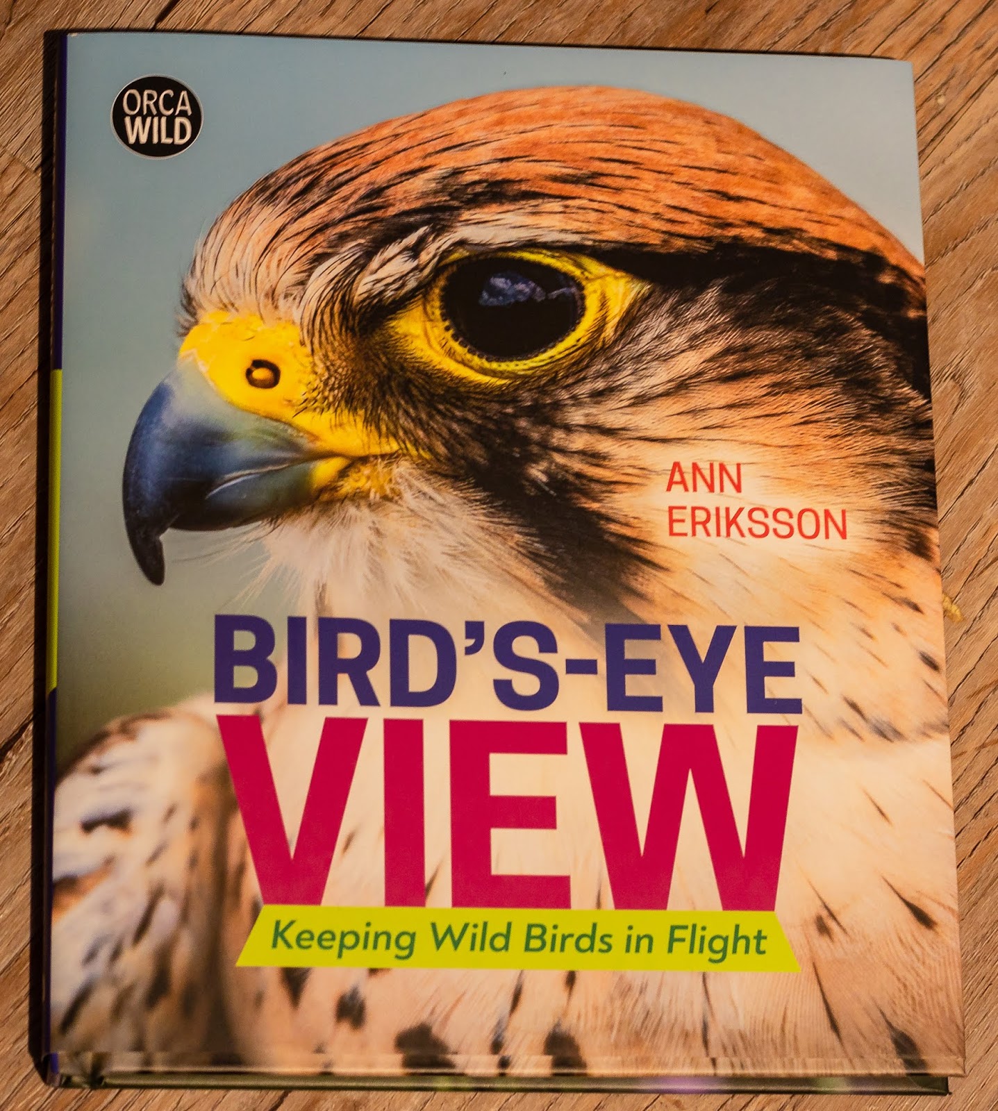 BC Young Birders and I featured in New Bird Book