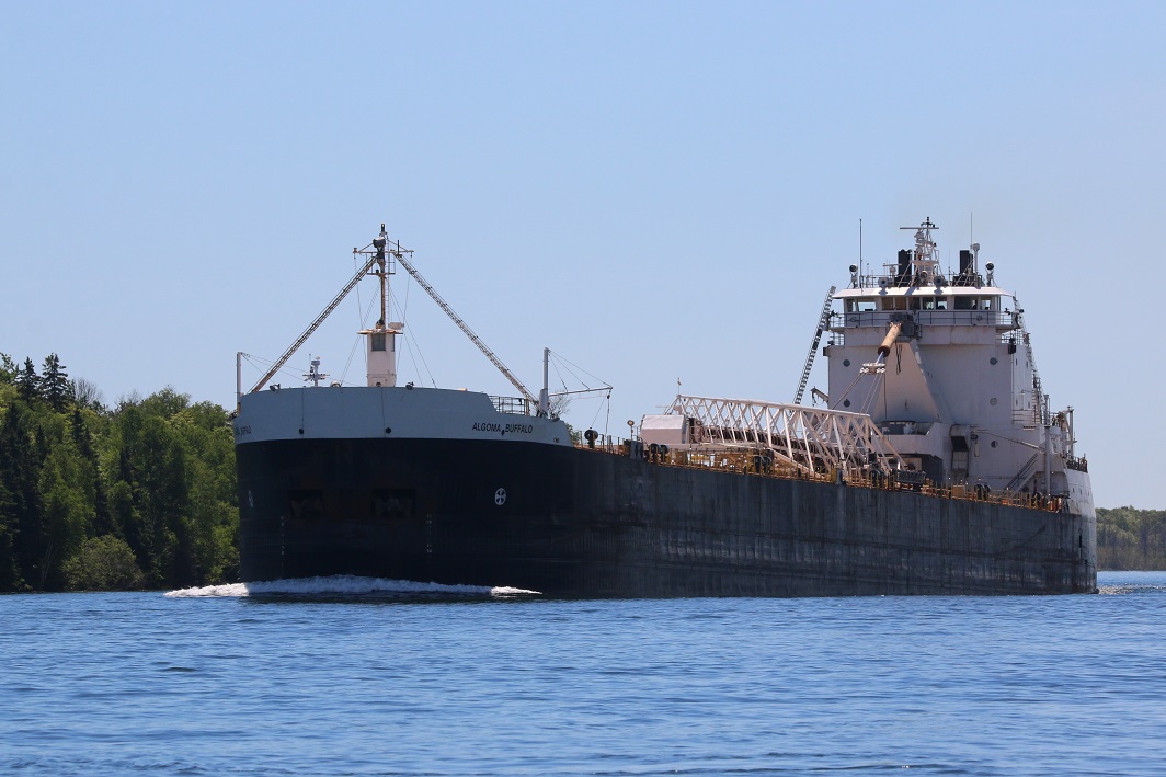 Michigan Exposures: And the Algoma Buffalo