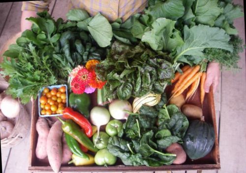 Here & Now | A Denver Style Blog: farm fresh