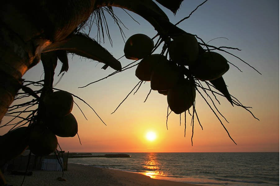 tropicalia: "pôr do Sol, Angola"