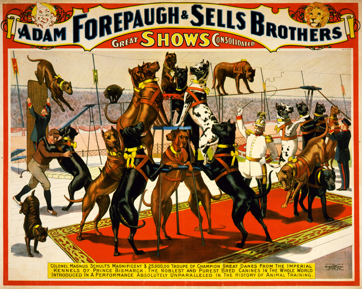 27 Fun and Interesting Vintage Circus Posters from the Late 19th ...