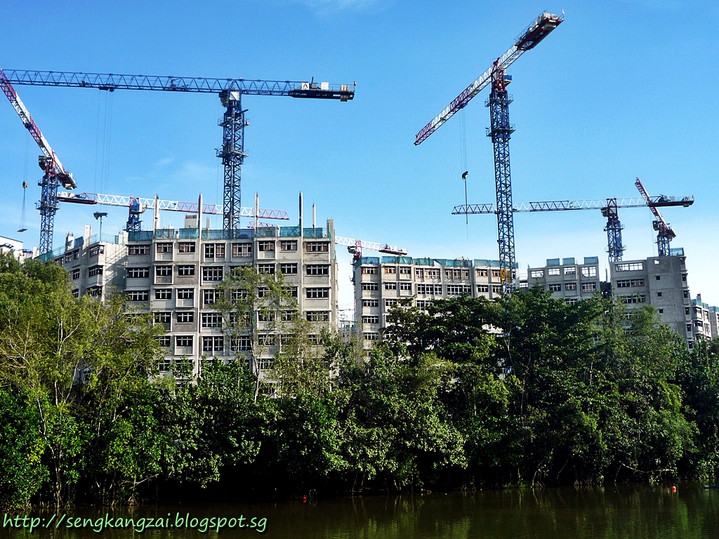 Zai@Sengkang: A Morning Walk Around Fernvale Riverbow on 3 August 2013