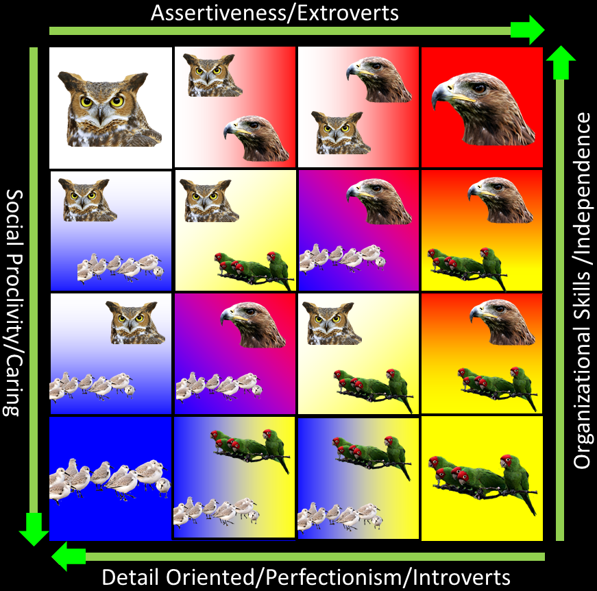 Birding Is Fun!: Birder Personality Profiles