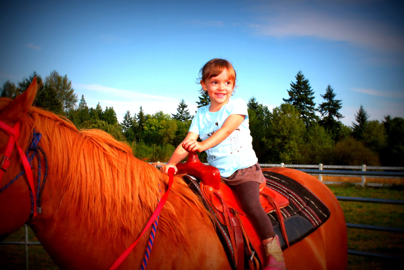 Guinn Family: My First Horsey Ride