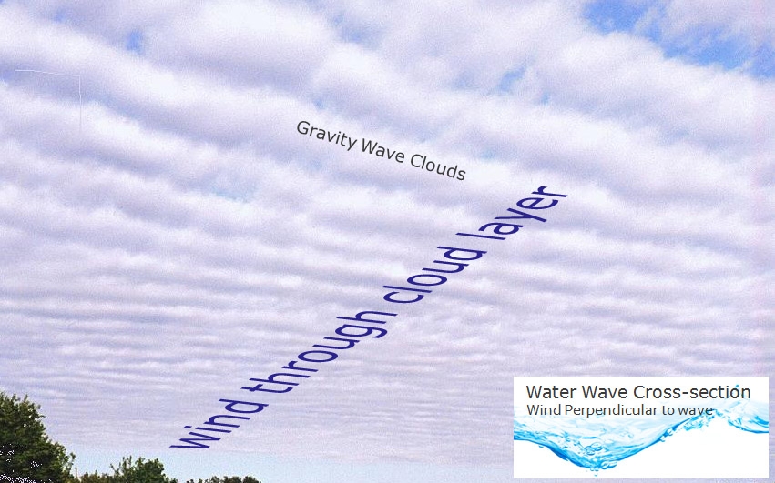 The Art and Science of Phil the Forecaster: Weather Watching Guide for ...