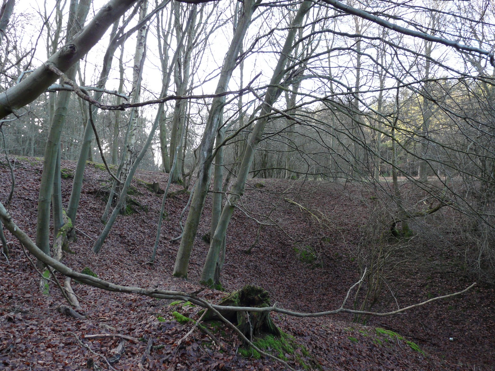 Cindy's Snaps: Botany Bay Brick Pit, Brandon, Suffolk ....
