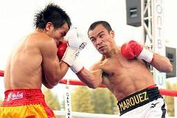 Big Boxe: Golpes de boxe muito conhecidos