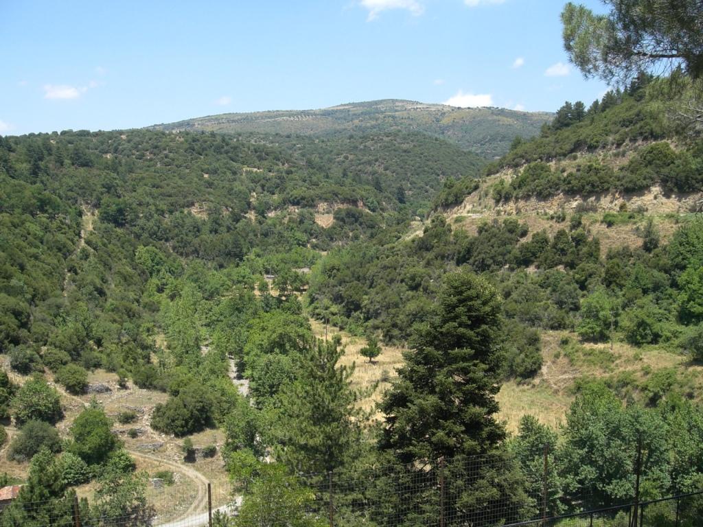 ΒΑΜΒΑΚΟΥ ΠΑΡΝΩΝΑΣ - ένα με την φύση: ΔΕΙΤΕ ΦΩΤΟΓΡΑΦΙΕΣ ΑΠΟ ΤΗΝ ΒΑΜΒΑΚΟΥ