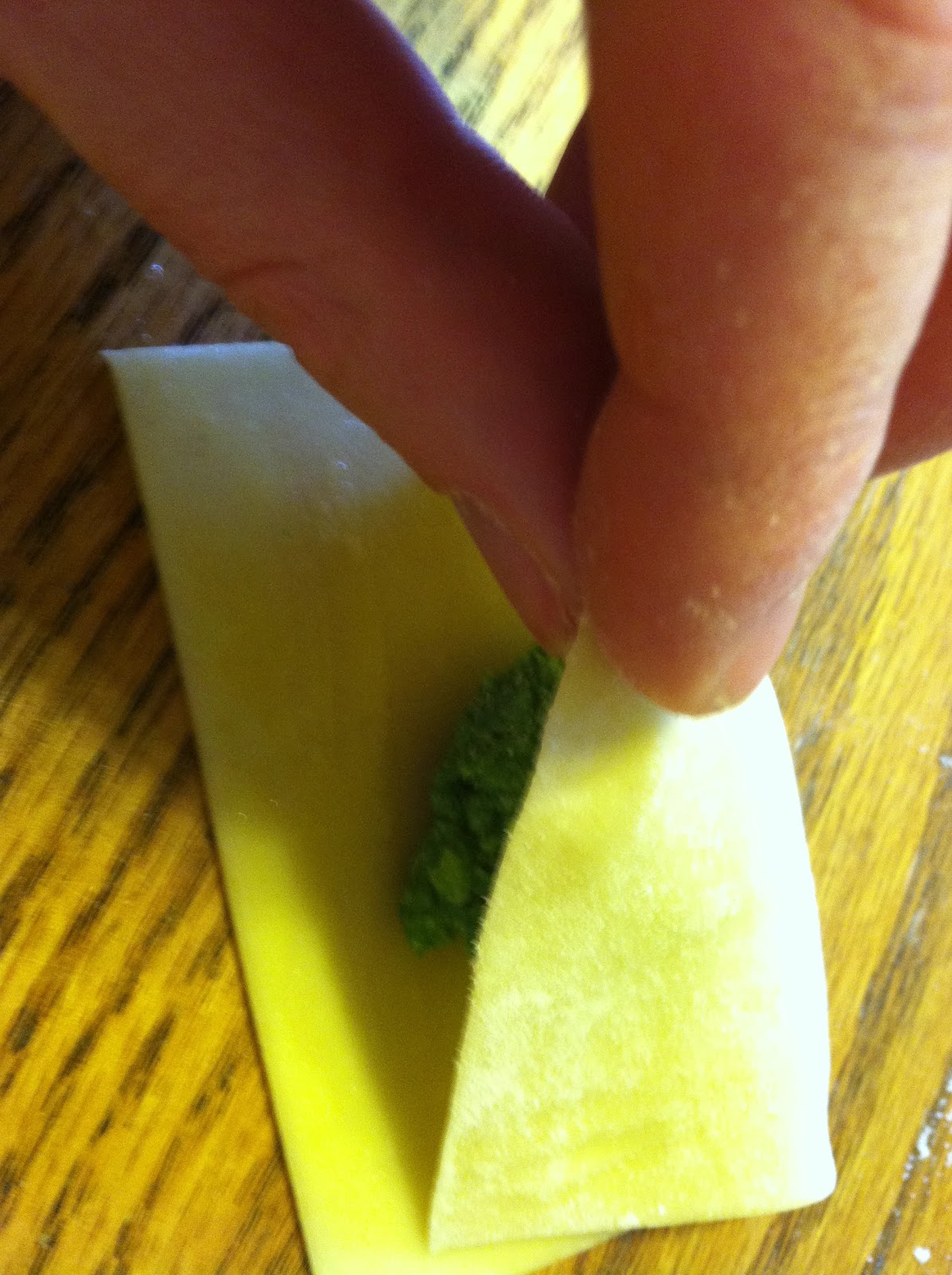 Making ravioli and other Traditional American Skills