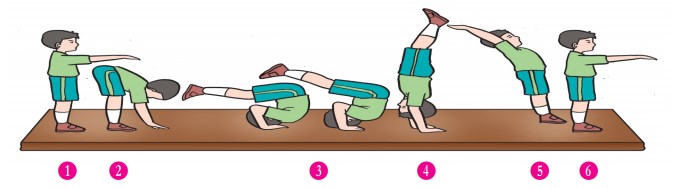 GERAK DASAR SENAM LANTAI KELAS 6