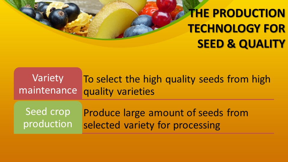 THE PRODUCTION TECHNOLOGY FOR SEED & QUALITY