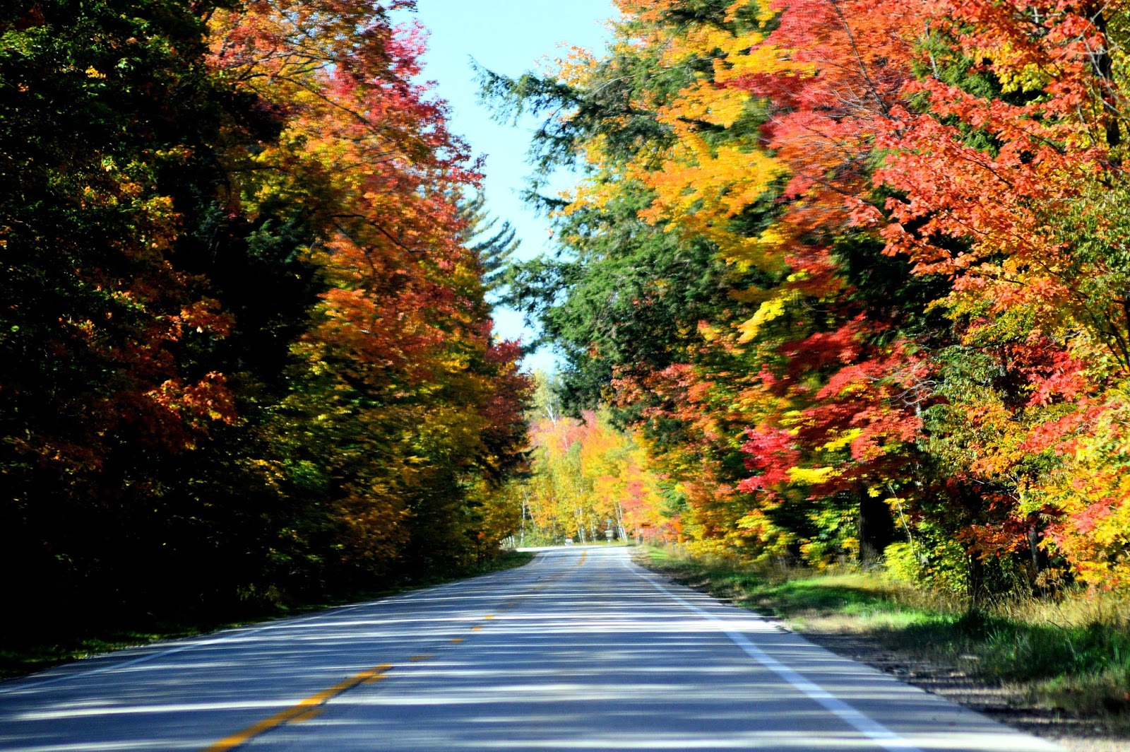 The Walking Stick: UP Fall Colors