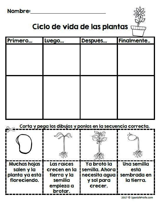 Escuela Consuelo Zavala: KIND N 1